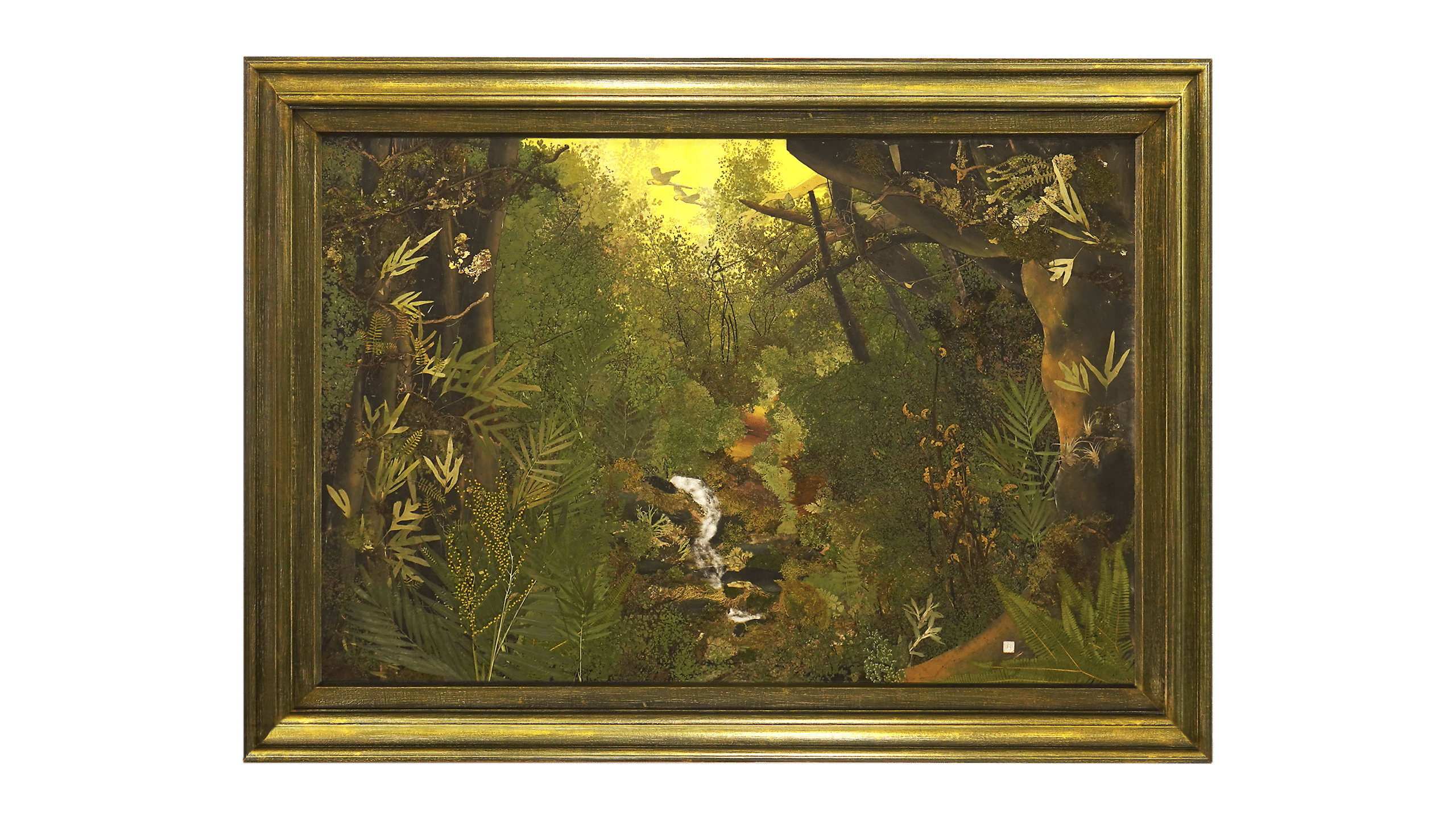 Exuberância da Flora Brasileira ブラジルの植物相の豊穣 – Bunkyo